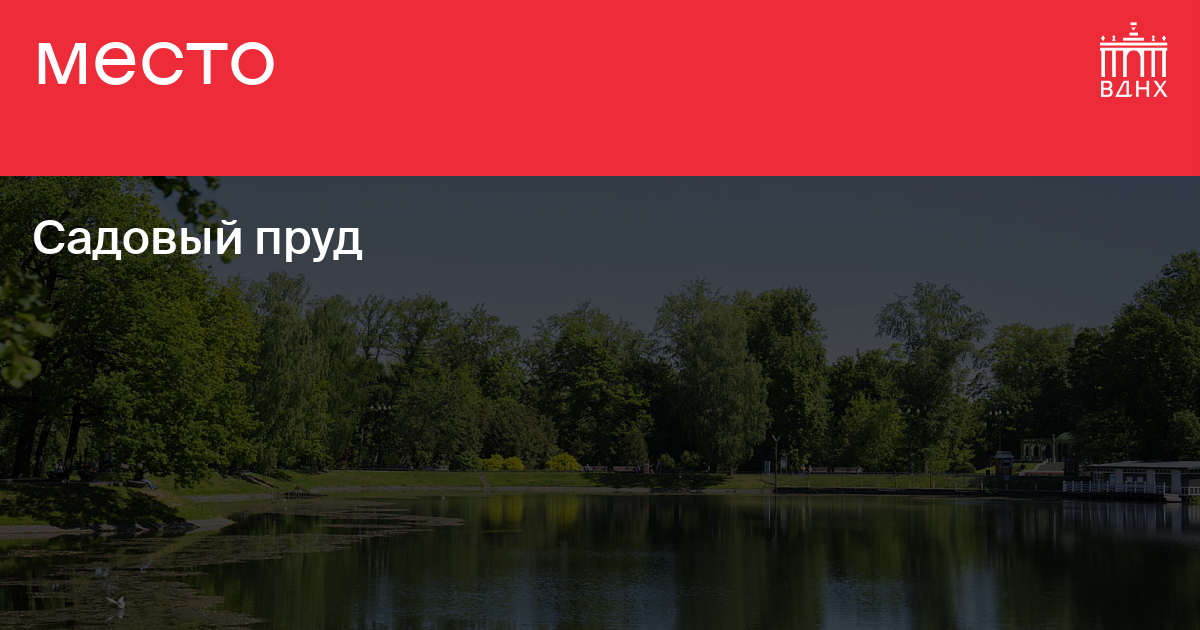 Садовый пруд на ВДНХ